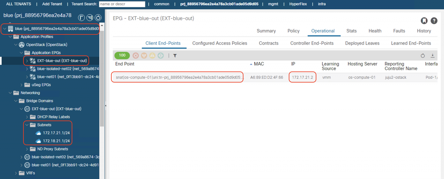 (3/3) A deep-dive into OpenStack networking with Cisco ACI Opflex integration - External ...